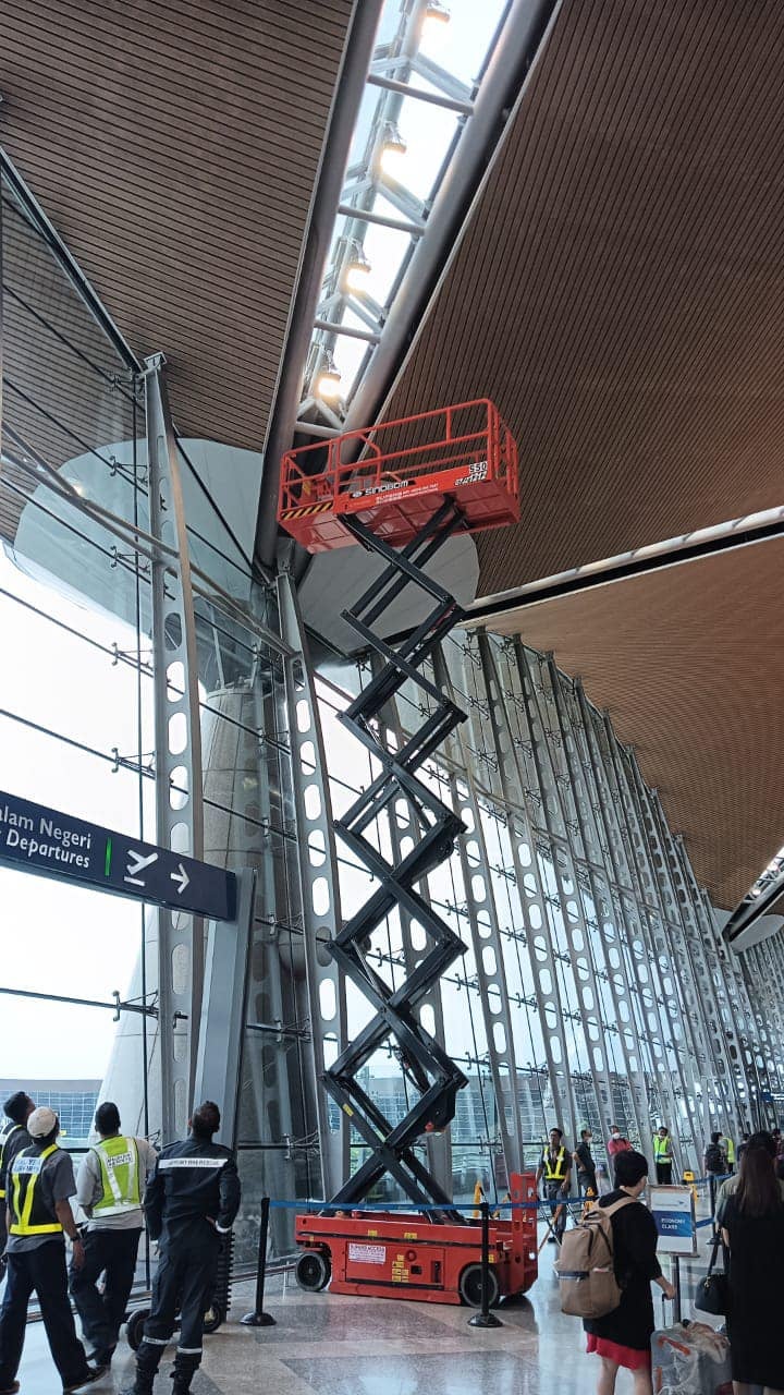 The Little Lost Monkey Spotted at KLIA Has Been Rescued & Released by ...