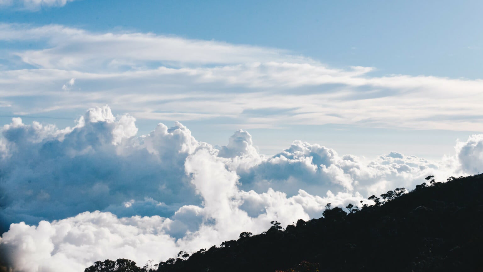 Japanese Scientists Discover Microplastics in Clouds & is Likely ...