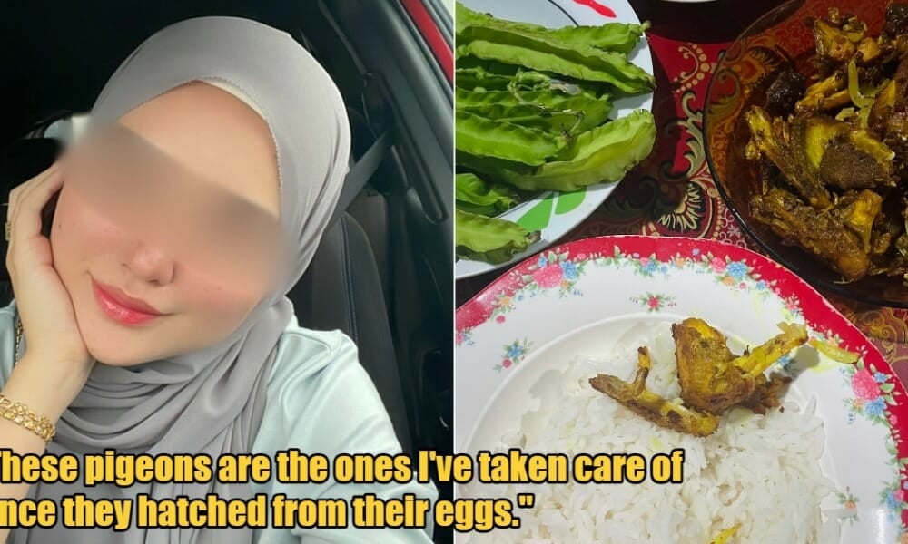 M'sian Girl Shares That She Eats Pigeons As a Beauty Tip, Netizens are ...