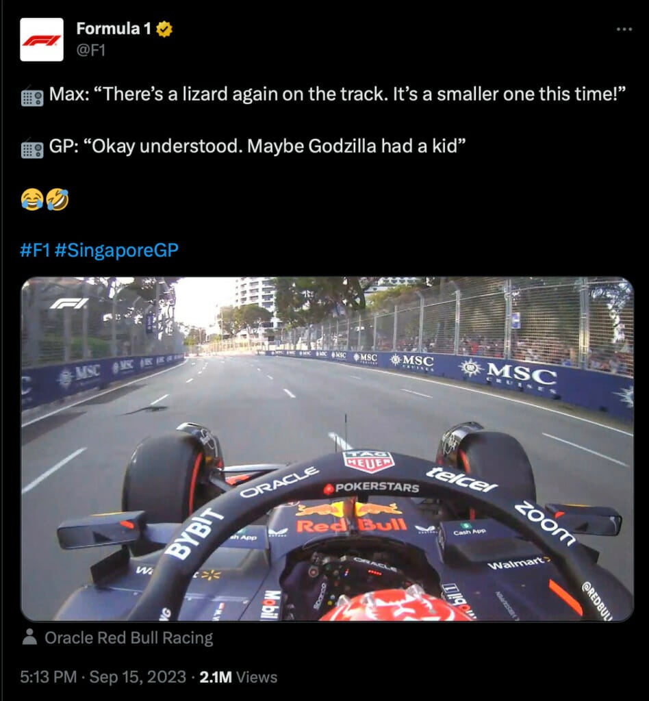 Monitor Lizards Invade Race Track During Practice Session of Formula ...