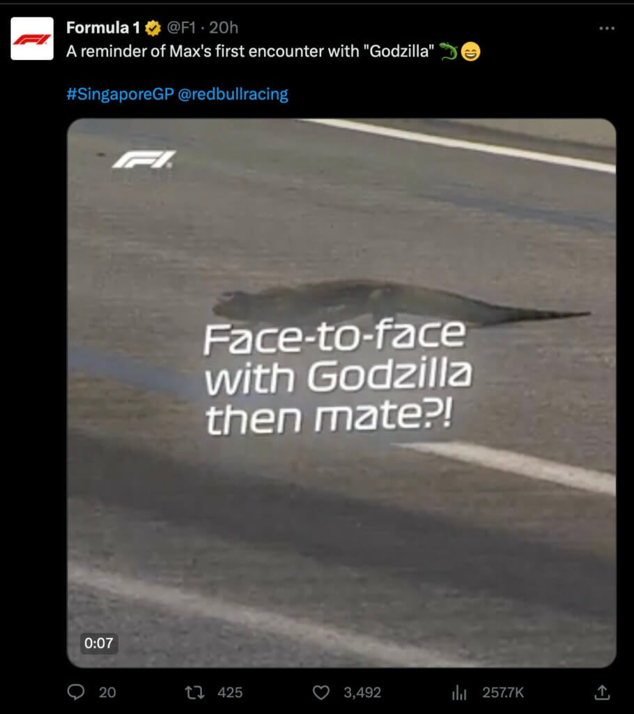 Monitor Lizards Invade Race Track During Practice Session of Formula ...