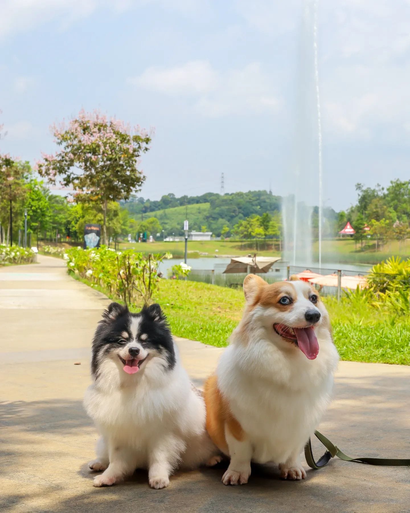6 Pet-Friendly Parks in Klang Valley For a Paw-Fect Day Out With Your ...