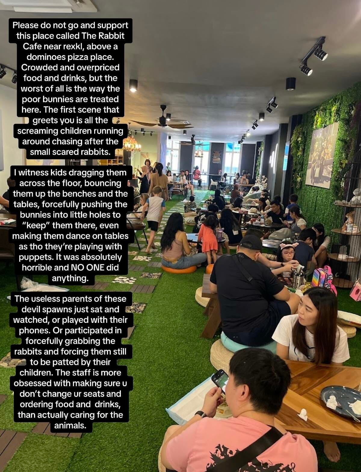 Rabbit Cafe in KL Called Out for Letting Customers Mistreat Their ...