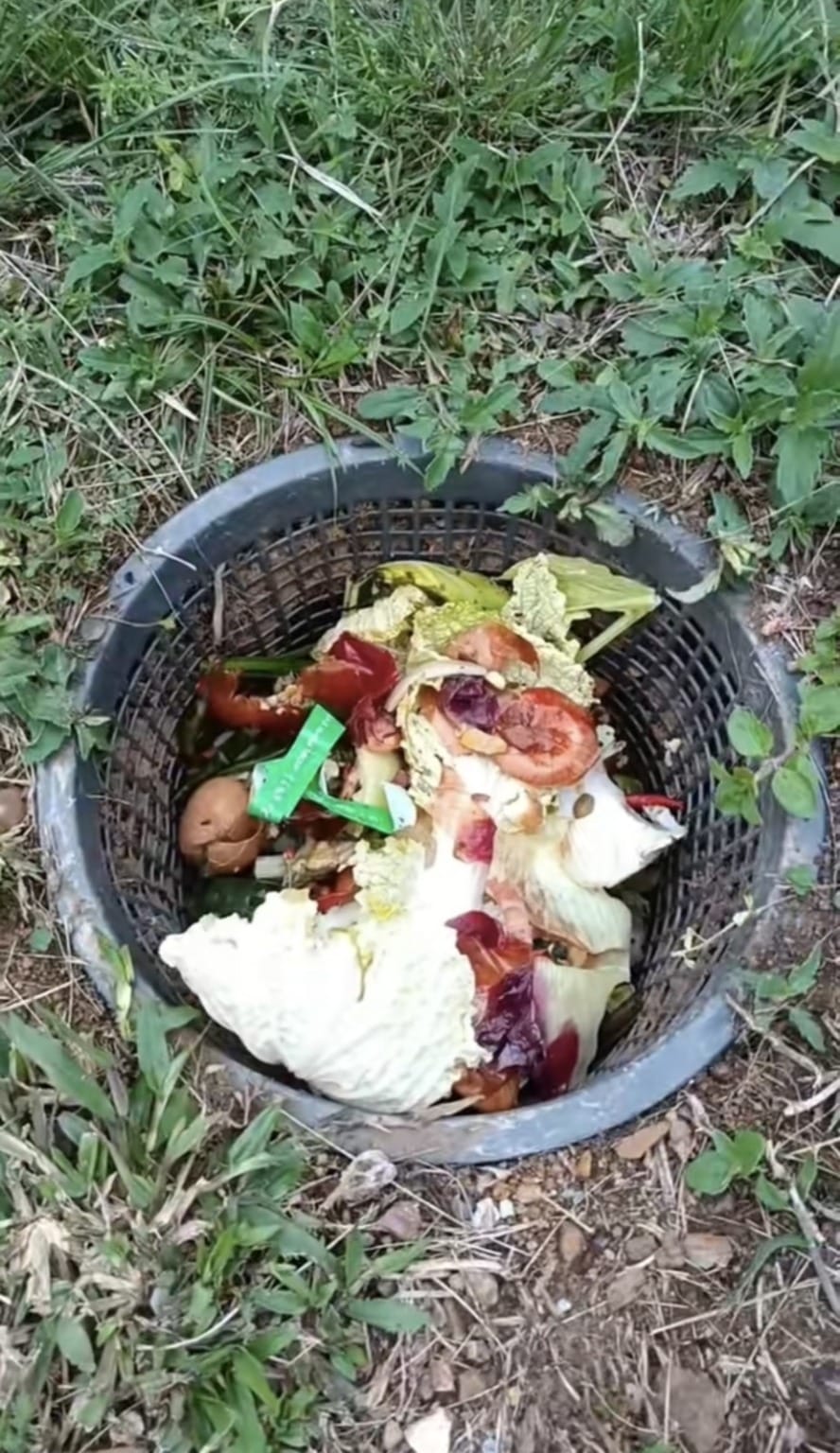 M'sian Displays His Environmentally Friendly Method of Composting Waste ...