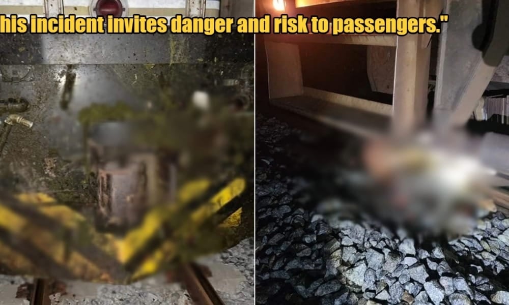 Panic Ensues for 336 ERT Passengers as Train Hits 14 Cows in Pahang ...