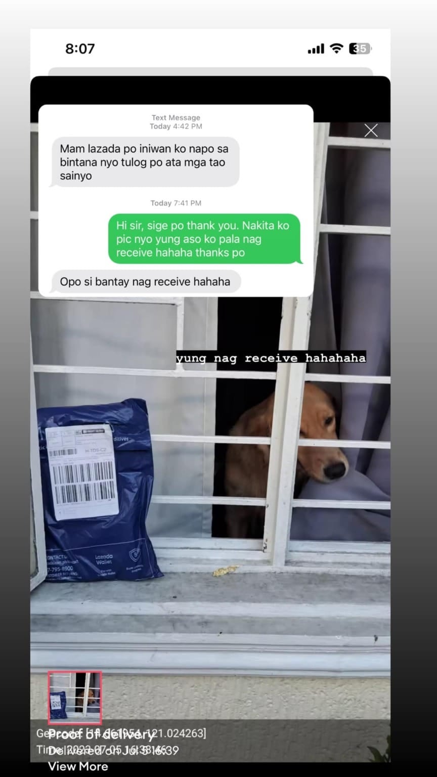 "Golden retriever to Golden Receiver" - Doggo In The Philippines ...