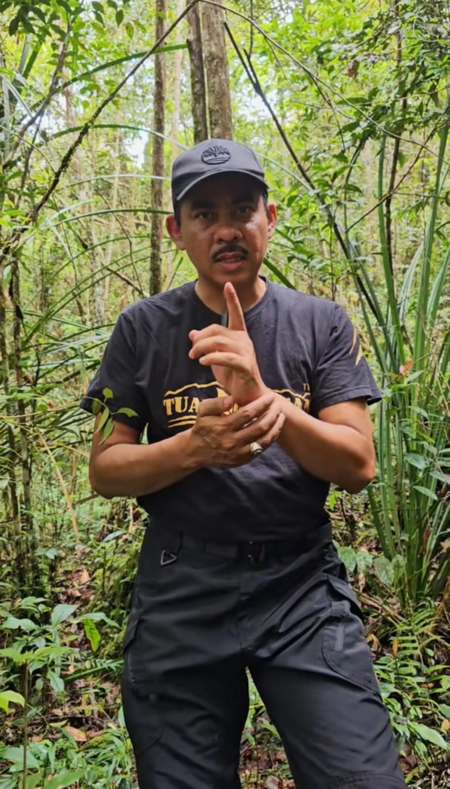 M'sian Forest Expert Shares Life-Saving Tips on What to Do if You Get ...