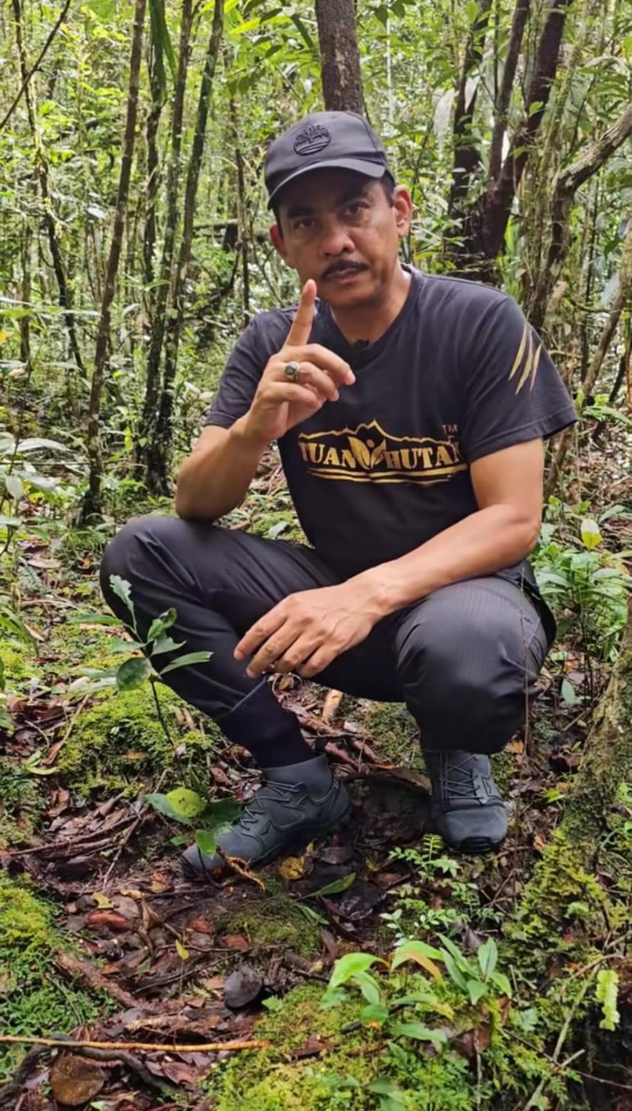 M'sian Forest Expert Shares Life-Saving Tips on What to Do if You Get ...
