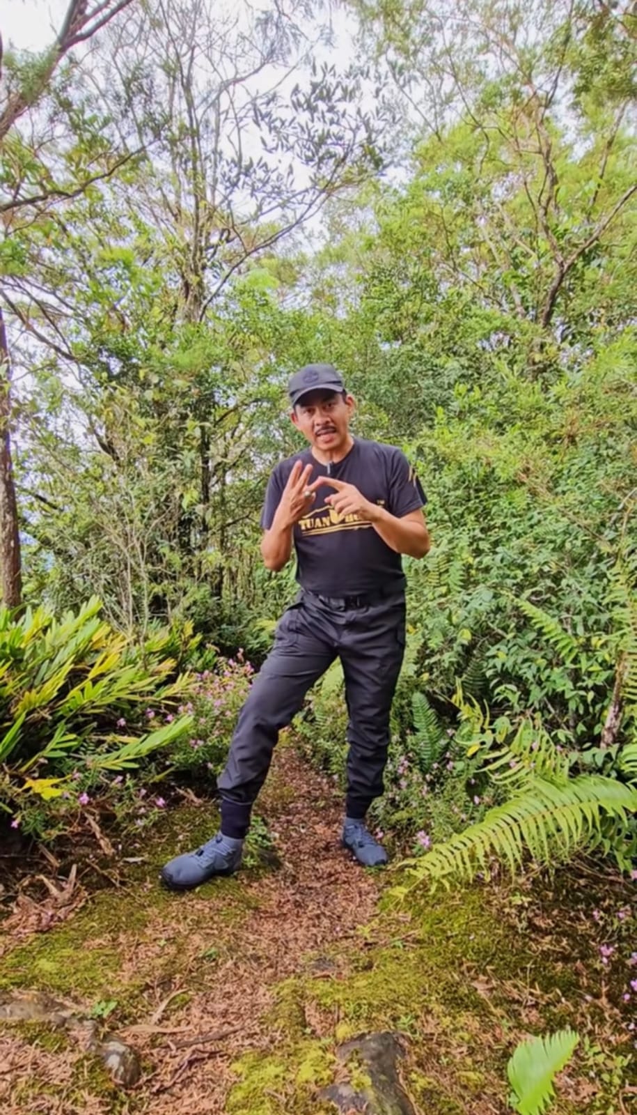M'sian Forest Expert Shares Life-Saving Tips on What to Do if You Get ...