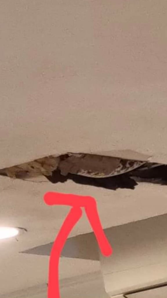 Ceiling Panel of S'pore Eatery Suddenly Falls, Patrons Shocked to Spot ...