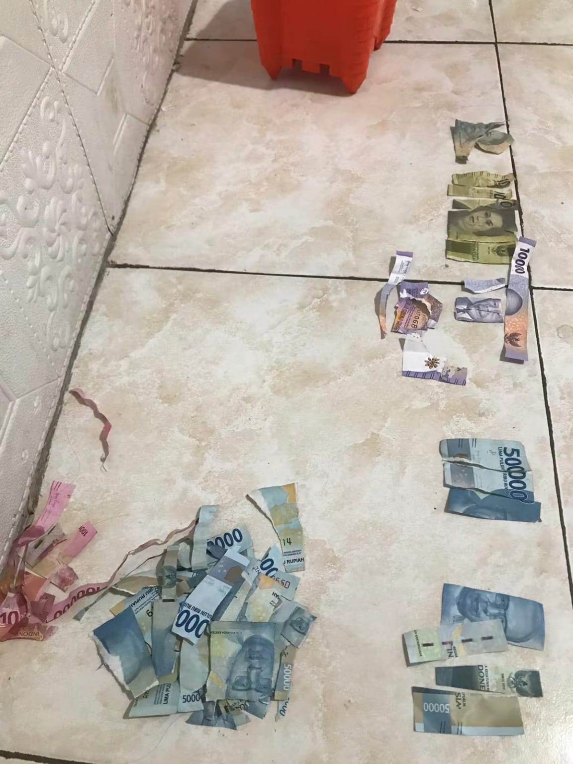 WATCH: Mother in Indonesia Shocked to Find That Her Daughter Had Cut up ...