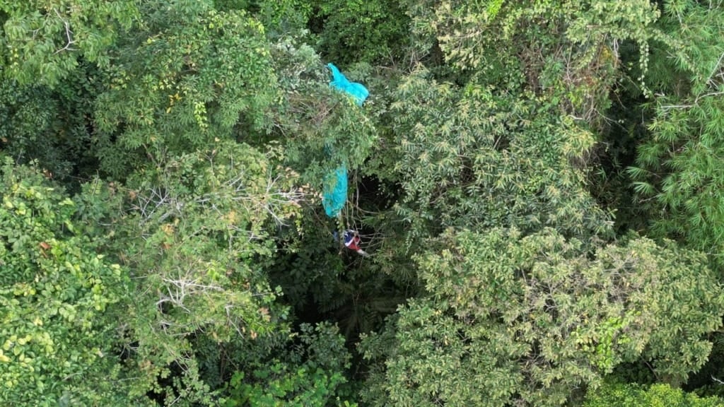 50yo Korean Paraglider in Sabah Gets Stuck on a Tree 50 metres in the ...