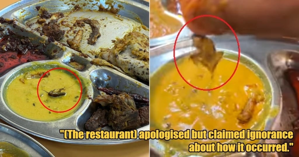 M'sian Disappointed to Find Dead Cockroach in the Curry He Ordered at a ...