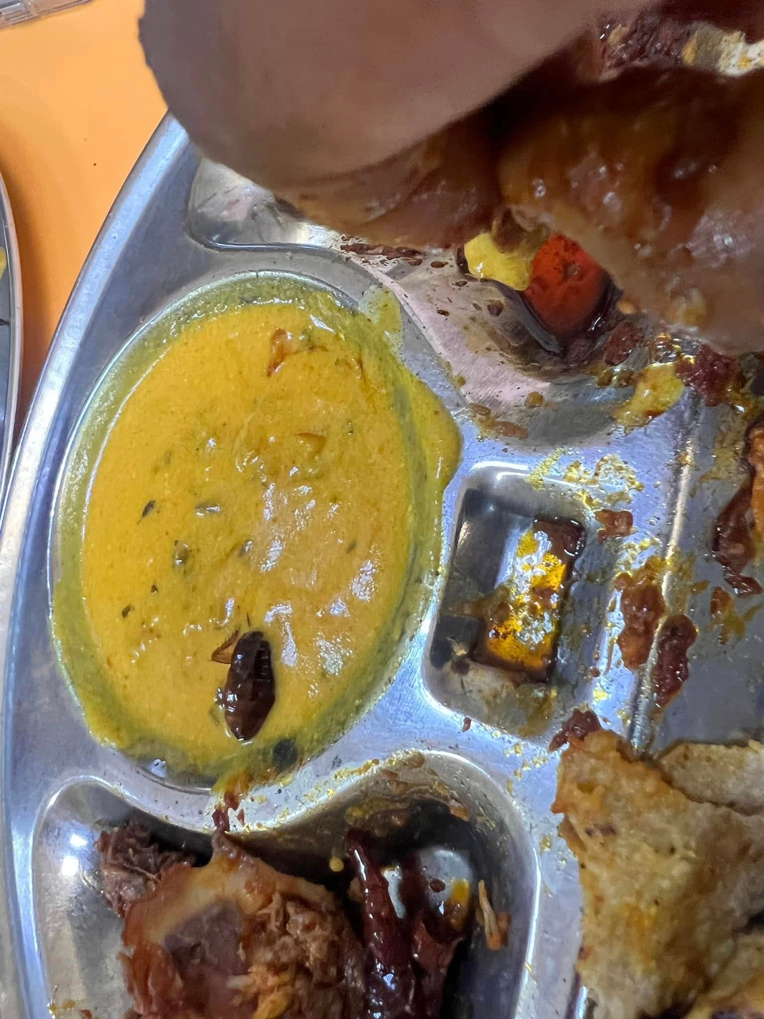 M'sian Disappointed to Find Dead Cockroach in the Curry He Ordered at a ...