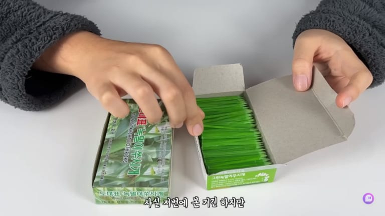 South Korea's Latest Viral Trend is Eating Fried Toothpicks, Govt ...