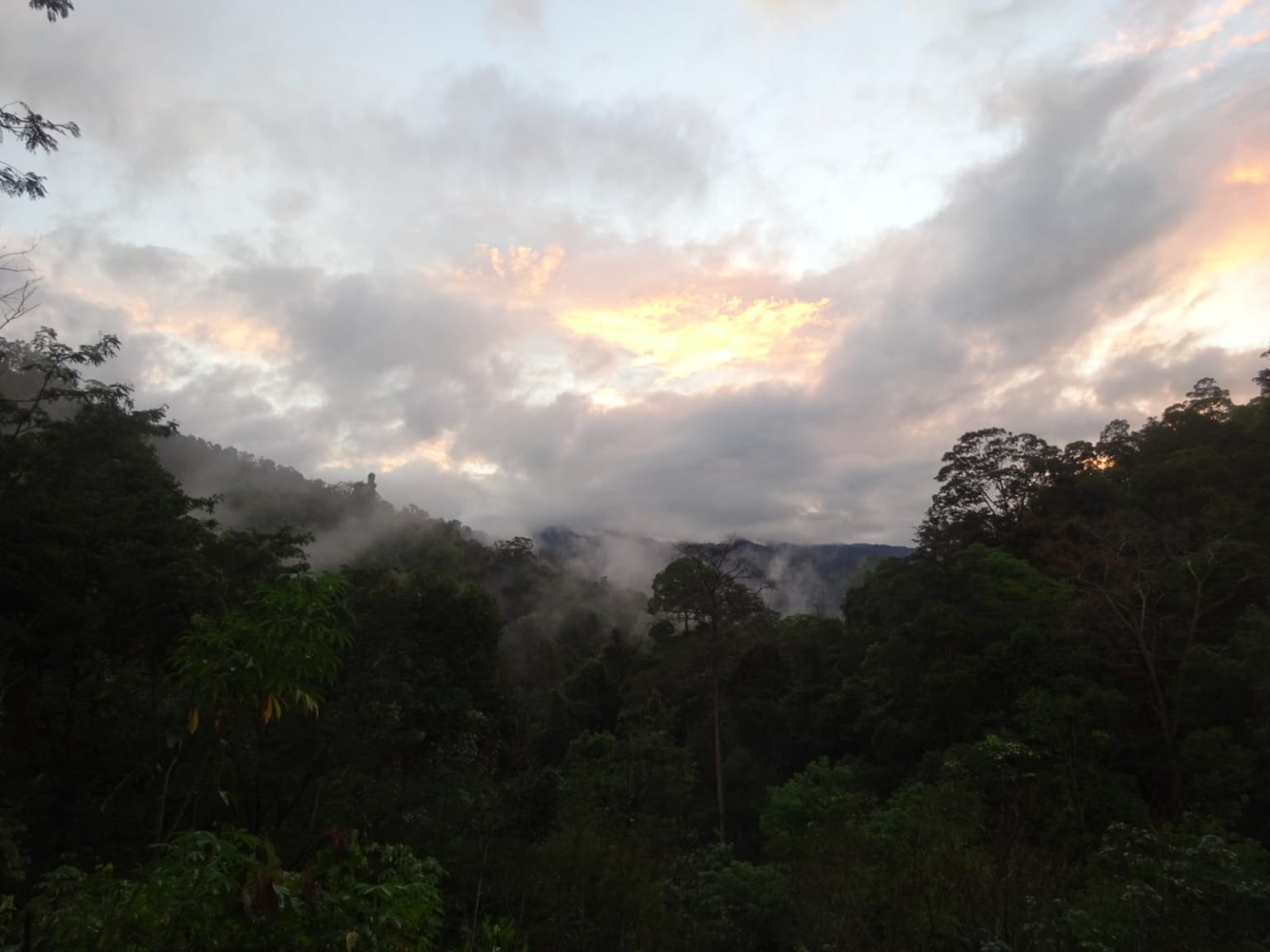 Peak of Adventure! Here are the 15 Highest Mountains Across Malaysia to ...