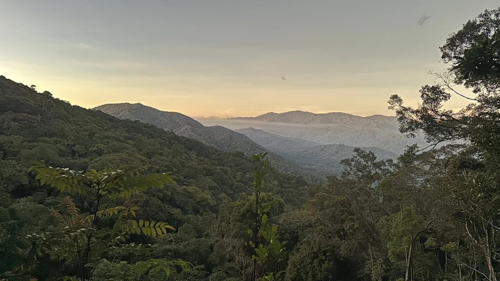 Peak of Adventure! Here are the 15 Highest Mountains Across Malaysia to ...