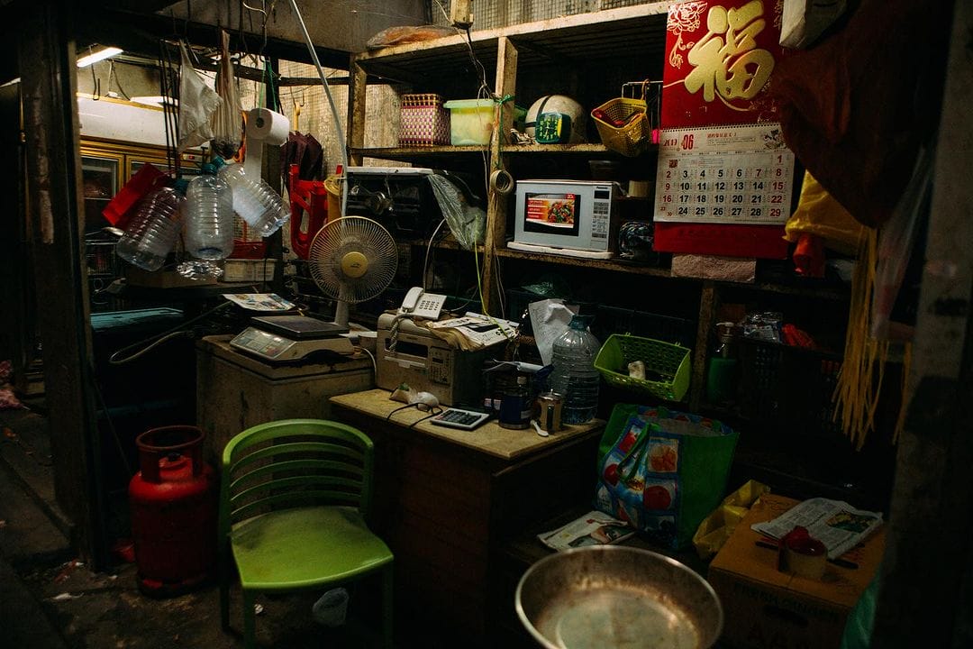 Foreign Photographer Exposes Alleged Cat Meat Butcher Hidden Within ...