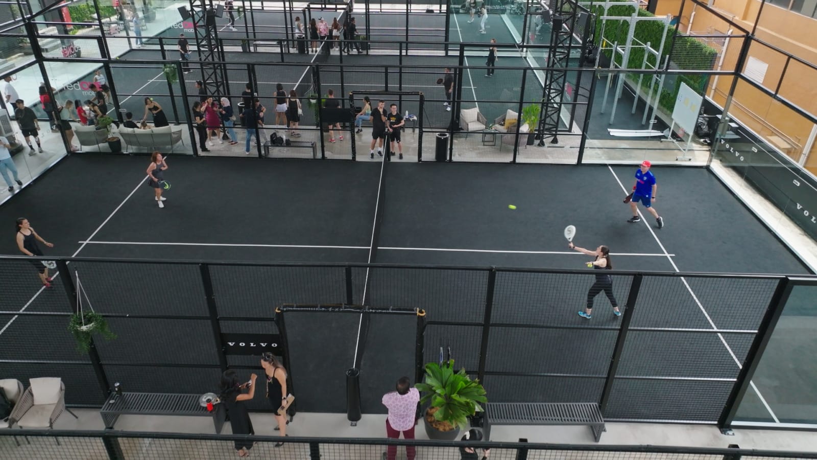 Celebrating Women in Sports: ASCARO Hosts Empowerment Event - WORLD OF BUZZ