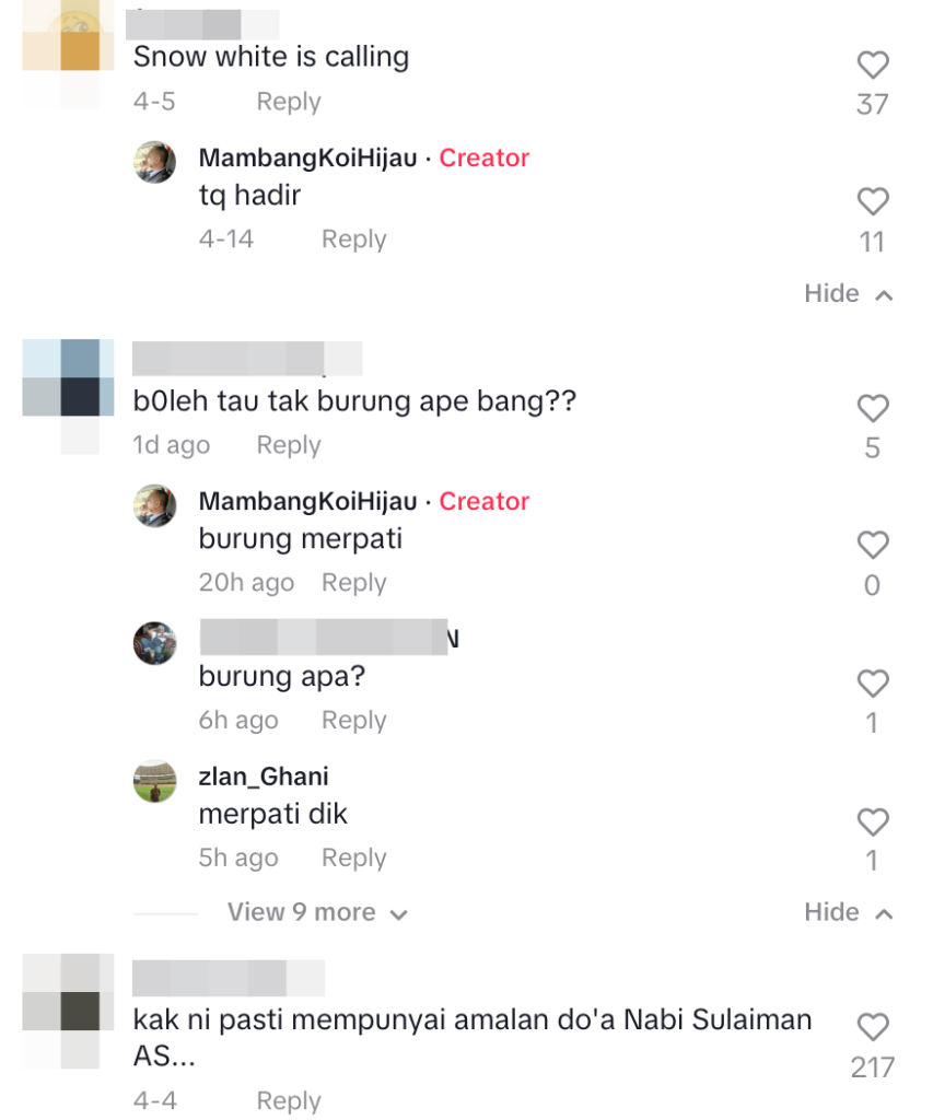 "Disney princess IRL" - M'sians Amazed by Wild Bird 'Following' Female ...