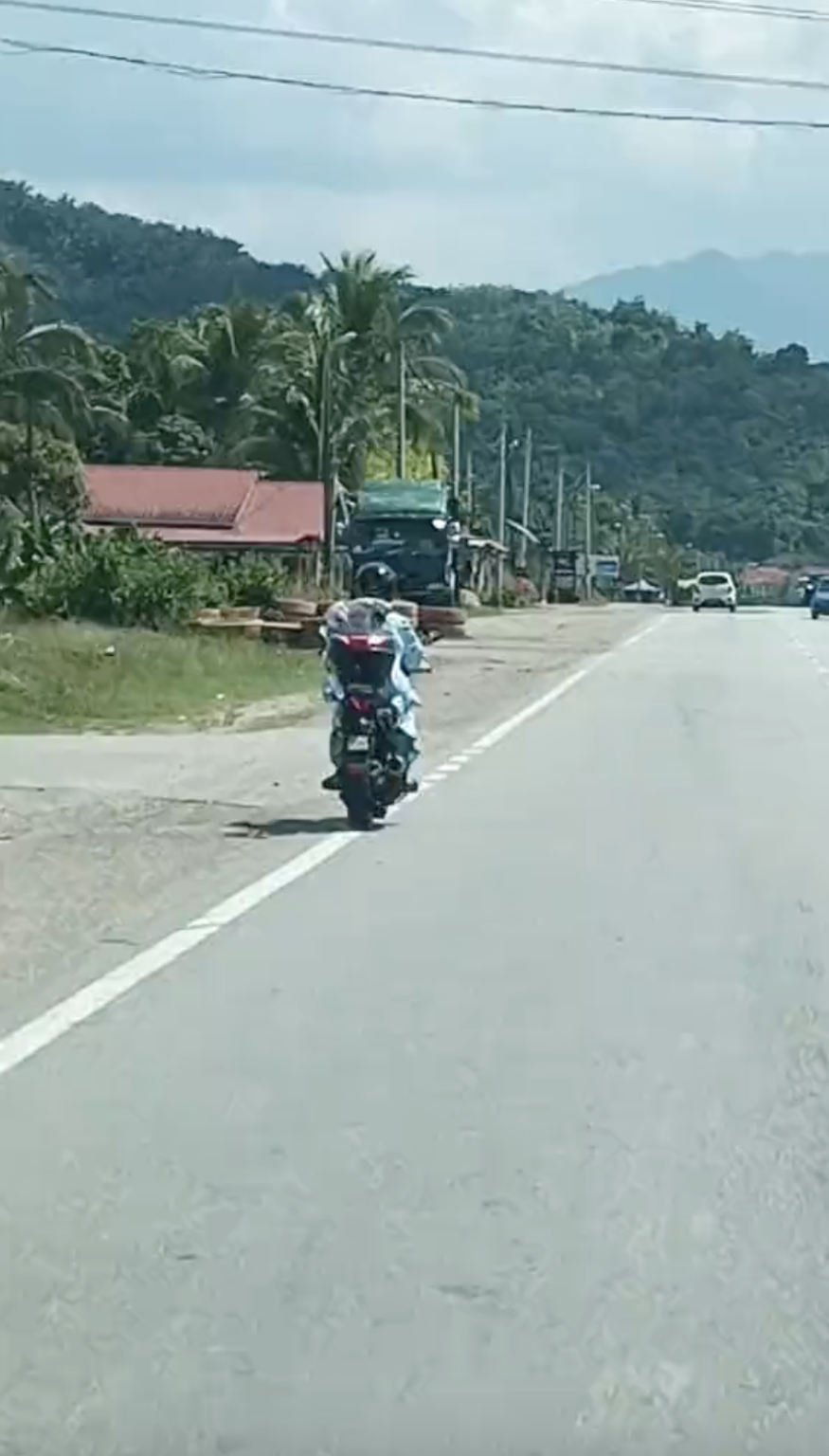 "Disney princess IRL" - M'sians Amazed by Wild Bird 'Following' Female ...