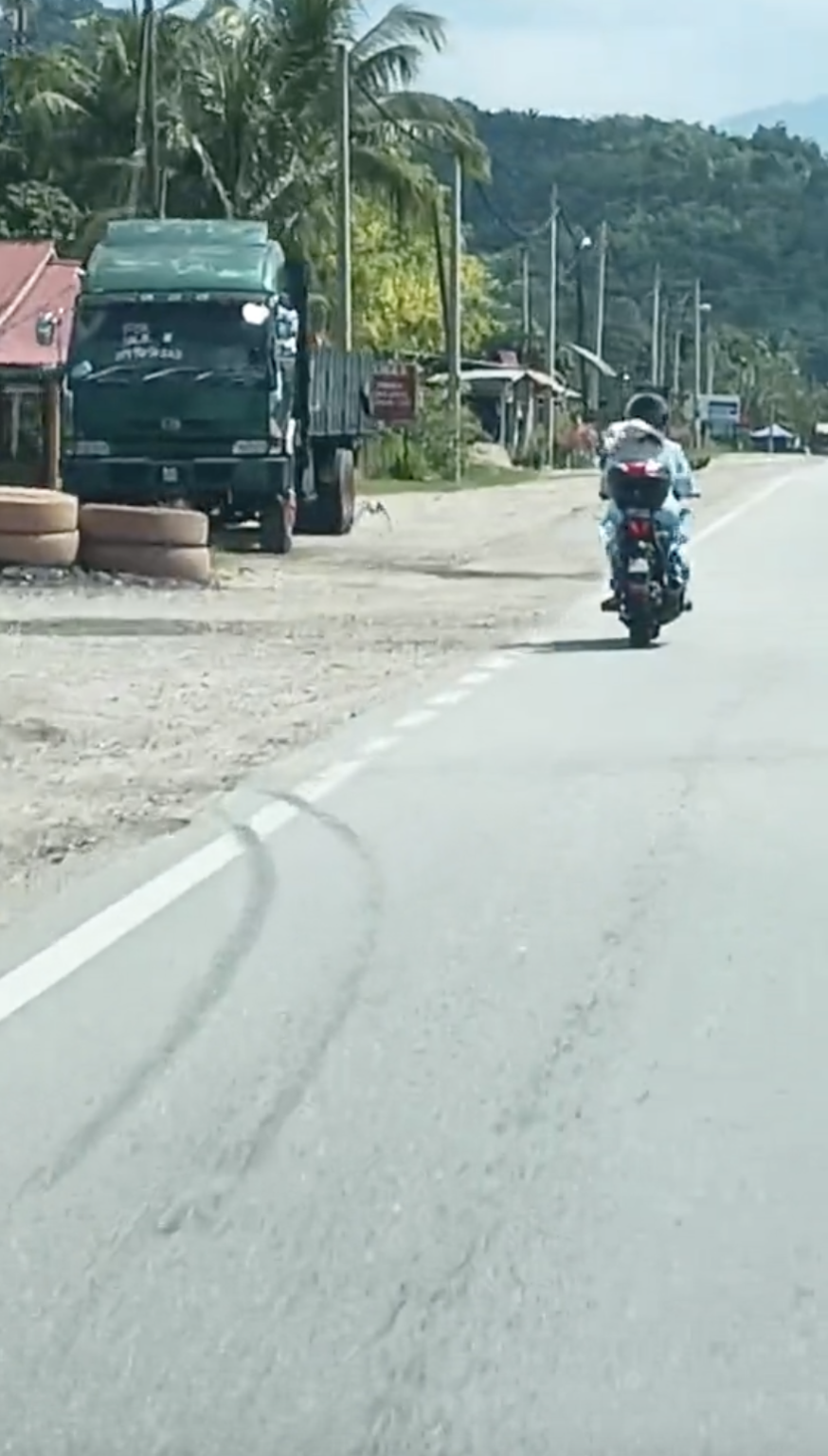 "Disney princess IRL" - M'sians Amazed by Wild Bird 'Following' Female ...