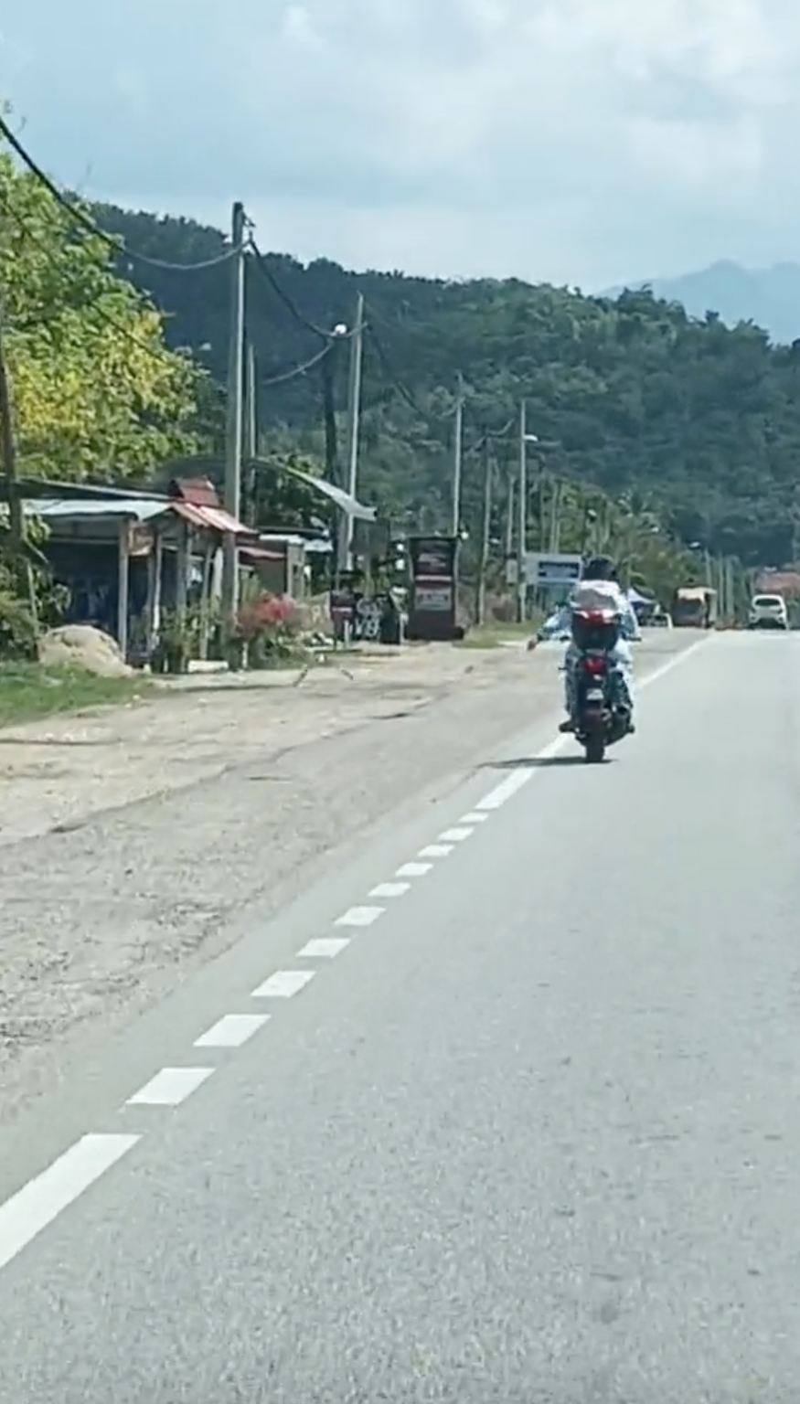 "Disney princess IRL" - M'sians Amazed by Wild Bird 'Following' Female ...