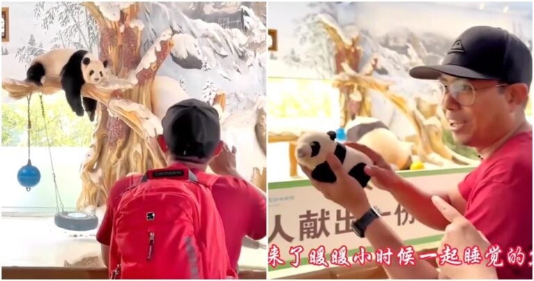 M’sian Panda Caretaker Reunites With Nuan Nuan in China, He Took Care ...