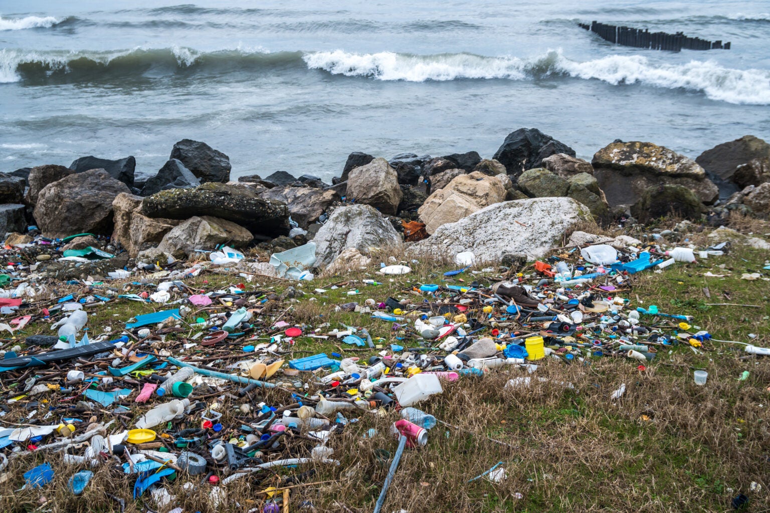Study: Malaysia Ranks 1st in the World for Consuming Microplastics ...