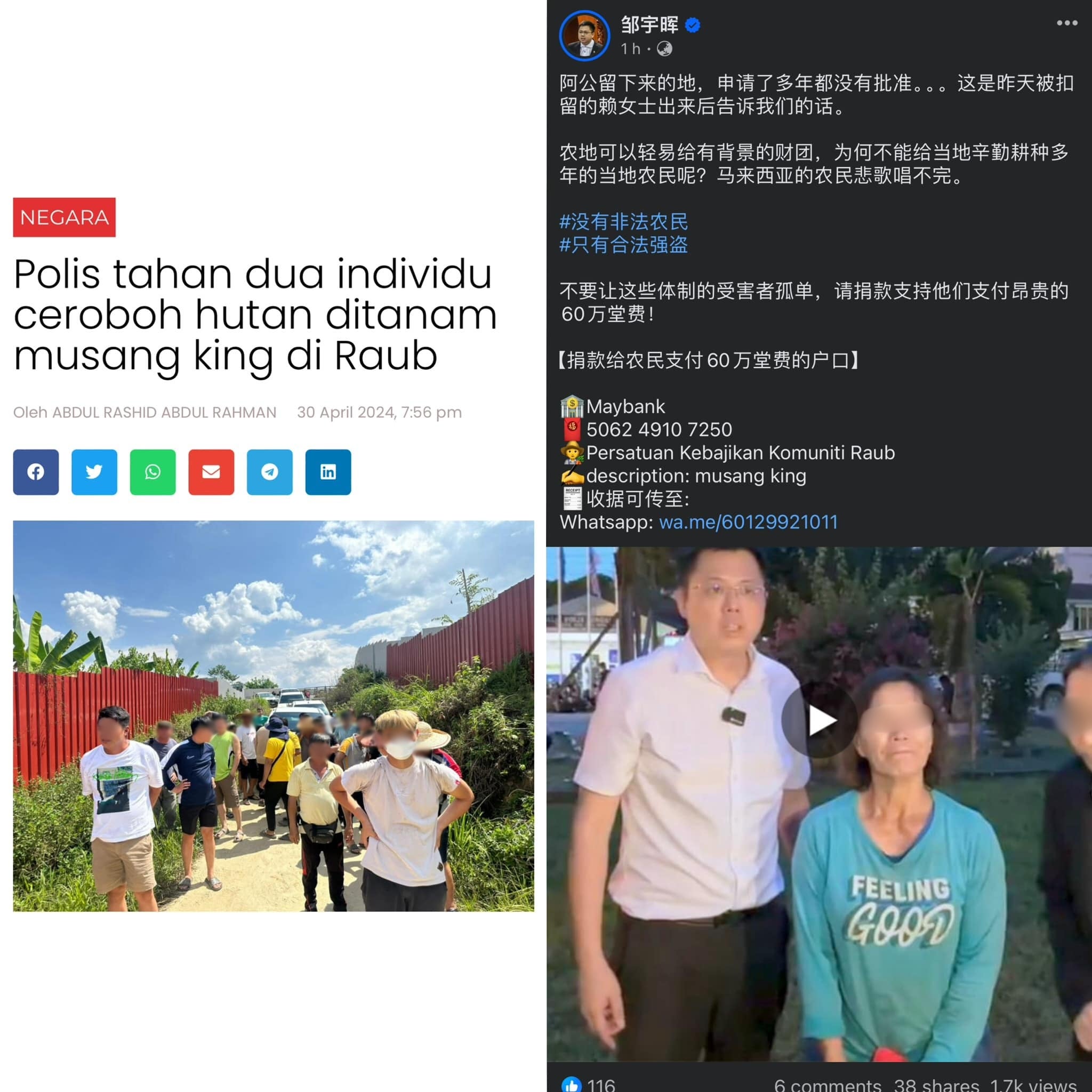 Raub MP Bashed for Asking Public to Donate RM600K to Illegal Durian ...