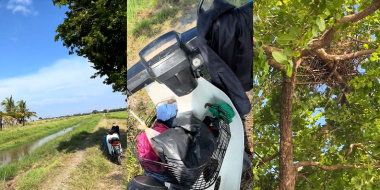 WATCH: M'sian Hilariously Gets Angry with Crows After They Steal His ...