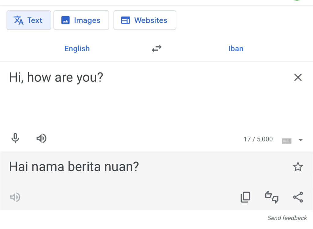 Google Translate Now Supports More M'sian Indigenous Languages ...