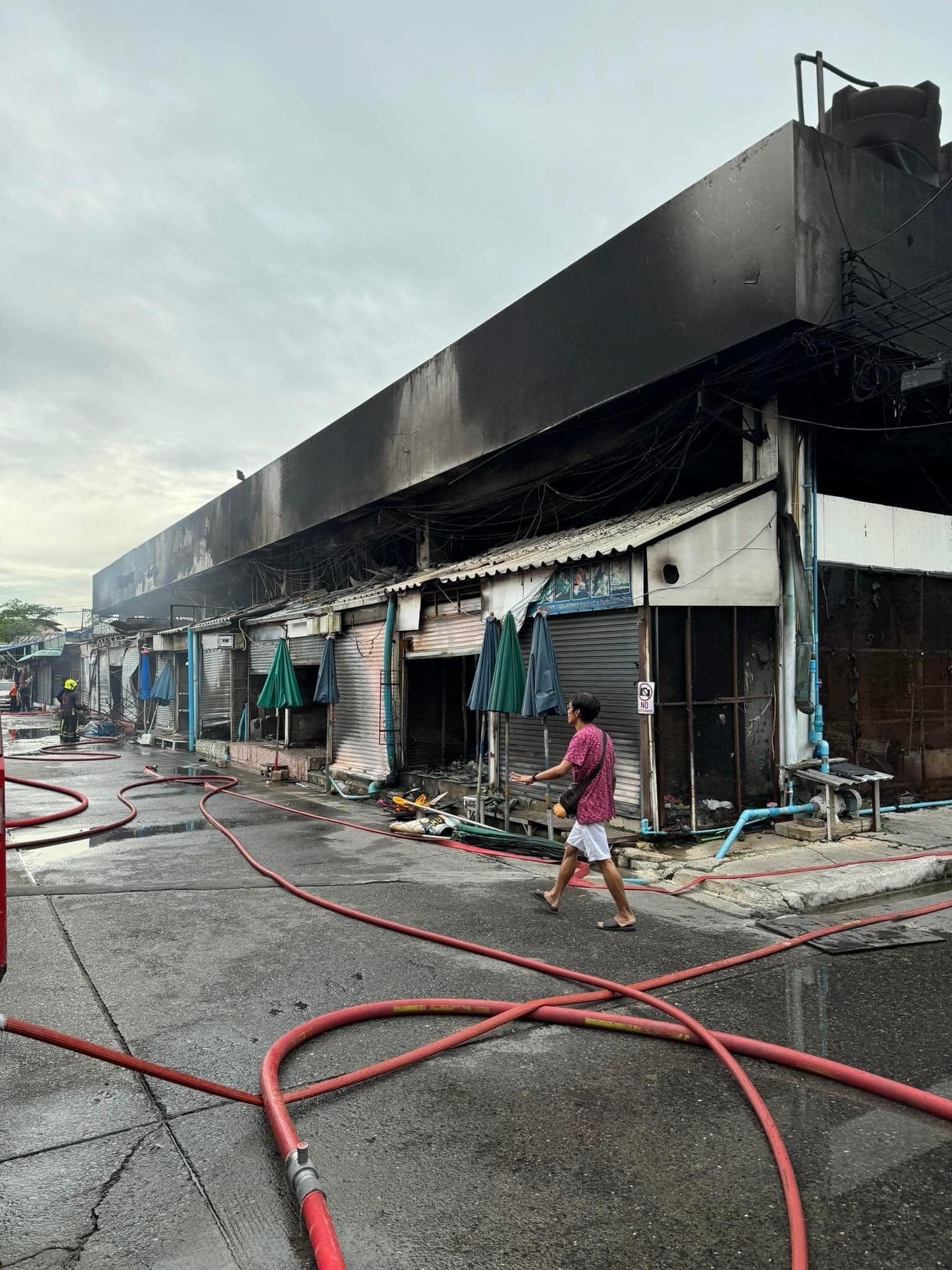 Over 1,000 Animals Have Tragically Died in a Huge Fire at Bangkok's ...