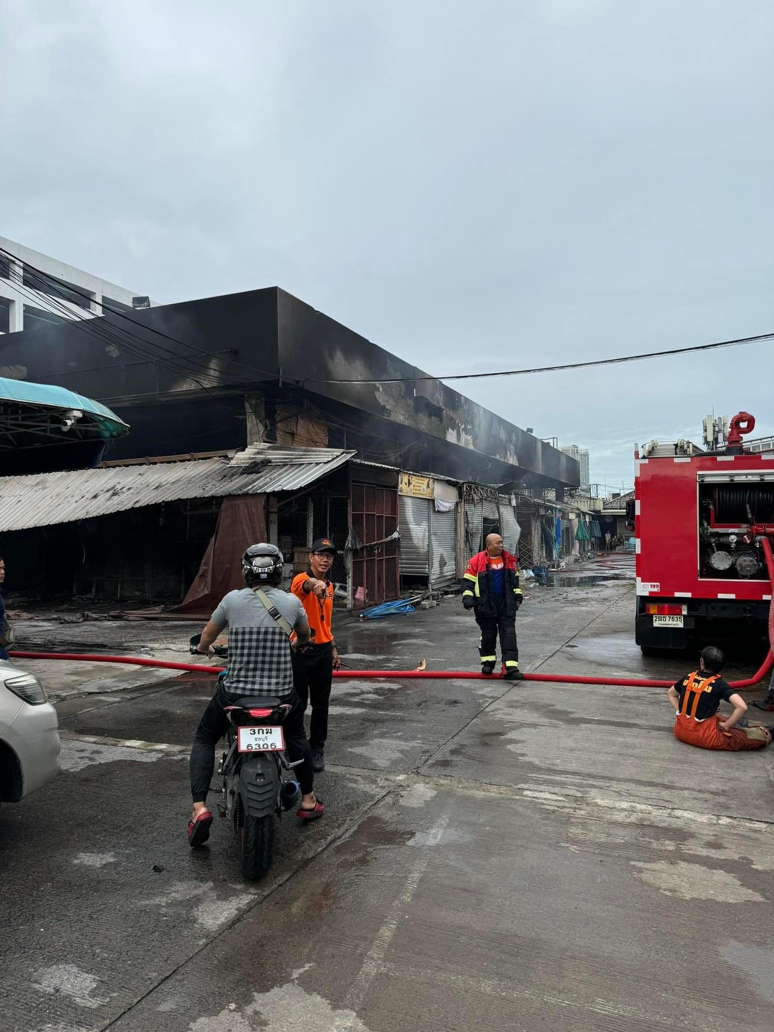 Over 1,000 Animals Have Tragically Died in a Huge Fire at Bangkok's ...