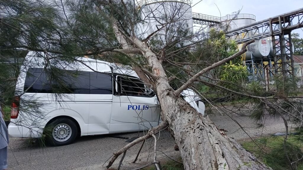 Police Officer Passes Away After Huge Tree Falls on His Vehicle While ...