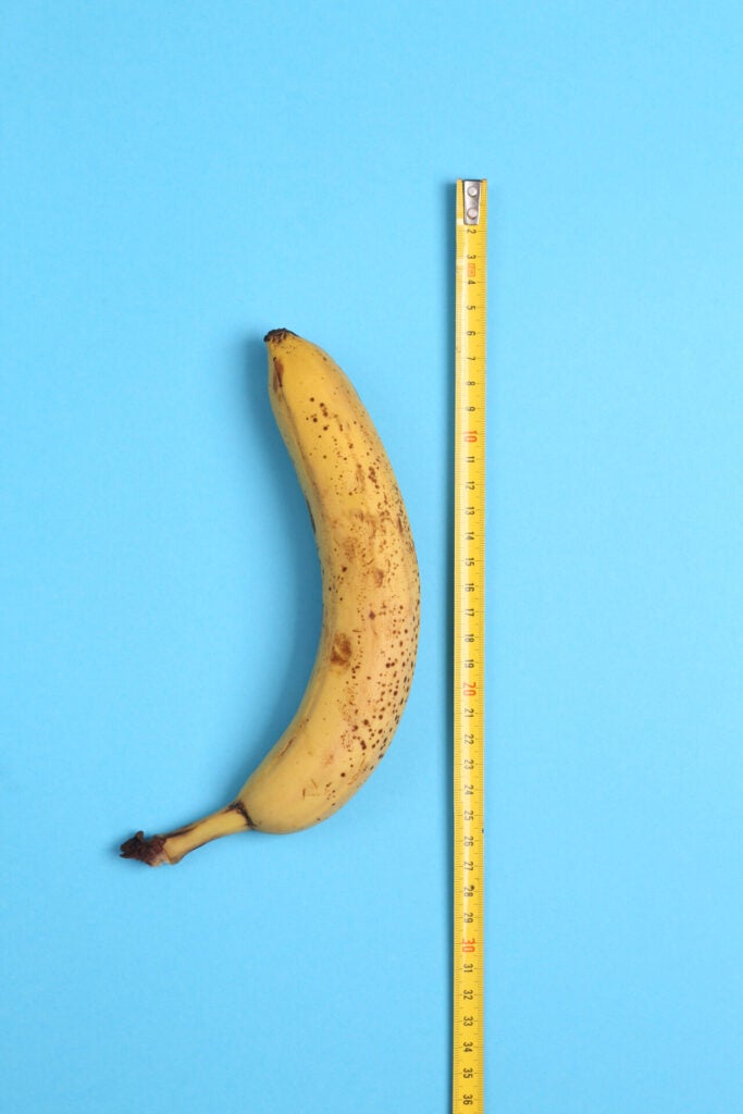 Study: Malaysia's Position in the Average Penis Size Rankings Among ...