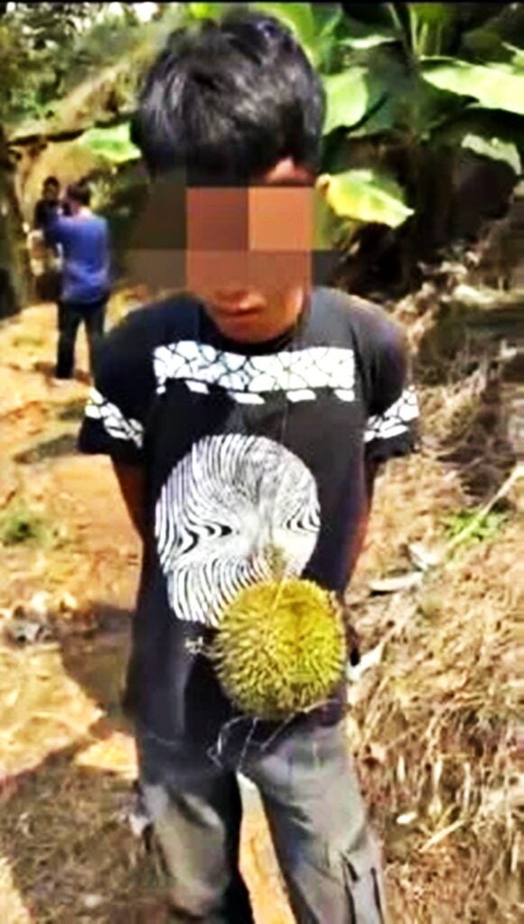 Man Steals 3 Durians From Orchard, His Father Pays RM10,000 to ...