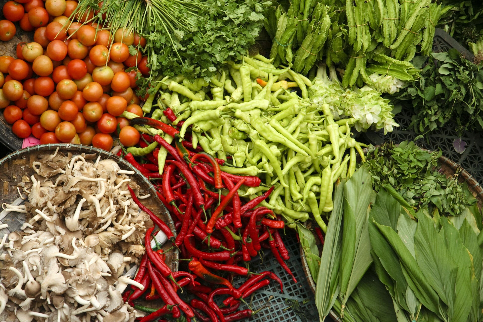 Vegetable Prices to Triple in November & December Due to Monsoon Season ...