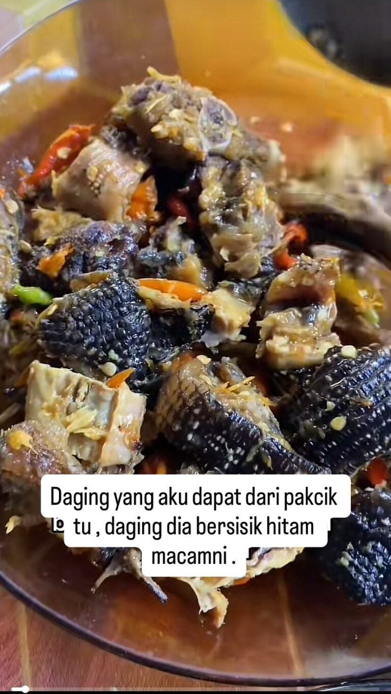 "It had scales" - M’sian Woman Takes Stranger’s ‘Beef Curry’, Claims it ...