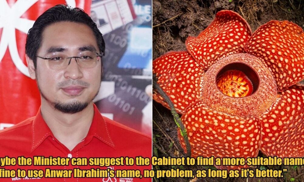 PN MP Wants Rafflesia Flower to be Renamed for Merdeka Day, Even ...