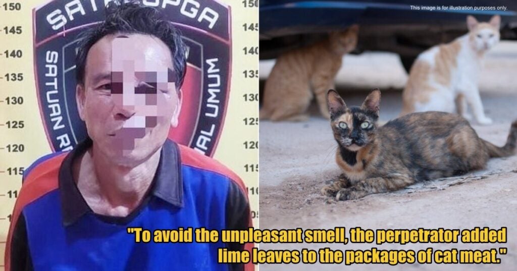 Customers Shocked as 'Lamb' Sold by Pagar Alam Vendor Turns Out to be ...