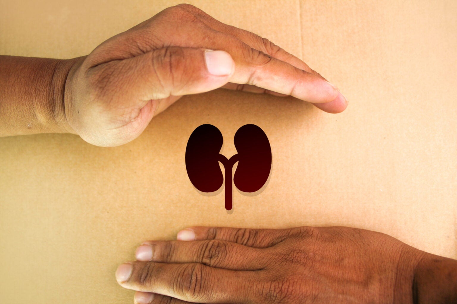 Selling Your Kidney or Other Organs to Buy an iPhone in Malaysia? You ...