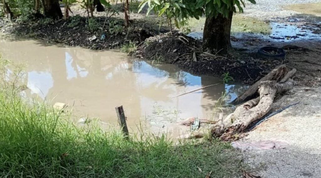 Elderly Woman Found Dead by Drowning in Drain Outside of Her Home in ...