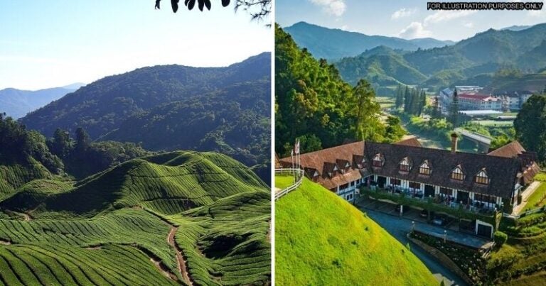 Cameron Highlands Crowned Asia's Top Rural Destination, Overtaking ...